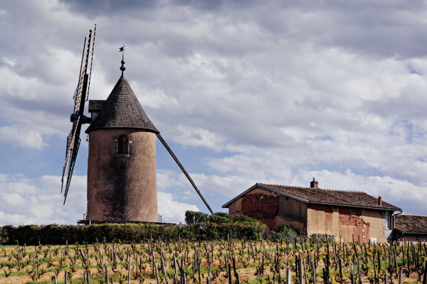 A new Association has been created by Moulin-à-Vent wine producers ...