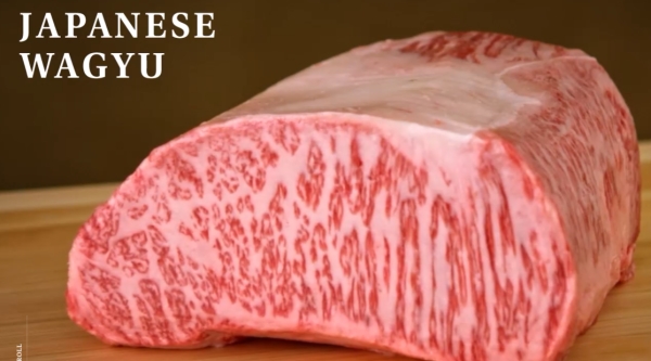 Japanese Wagyu Special Menu Takeover – AboutMyGeneration